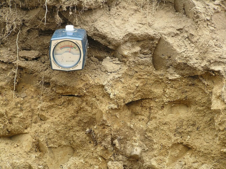Solo alcalino: dicas para lidar com o pH em seu cultivo - Blog Irrigat ...